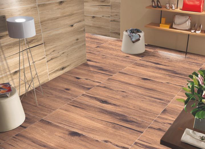 Lexus - The Tiles of India